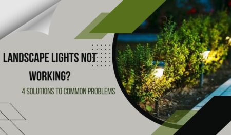 Landscape Lights Not Working? 4 Solutions To Common Problems