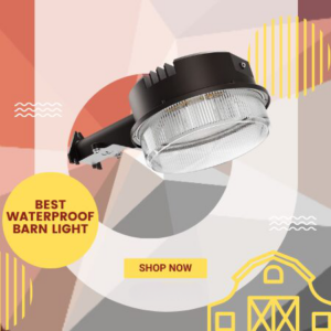 10 Best Lighting For Pole Barn 2024: Shop Lights For Interior & Barn ...