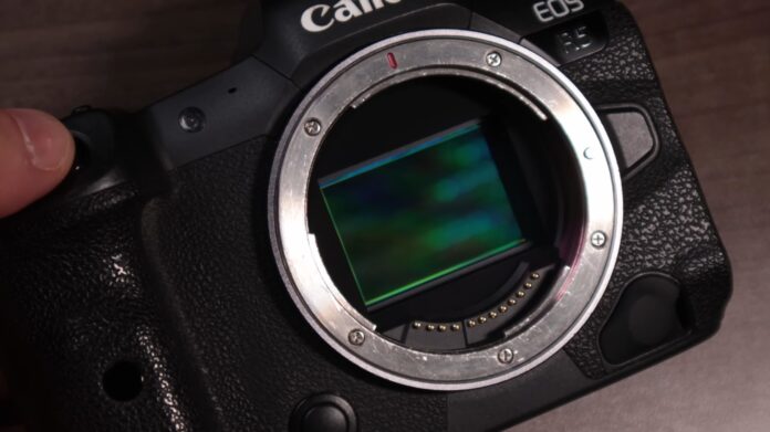 What Are the Best Low-Light Cameras on the Market - Unleash Your Night ...